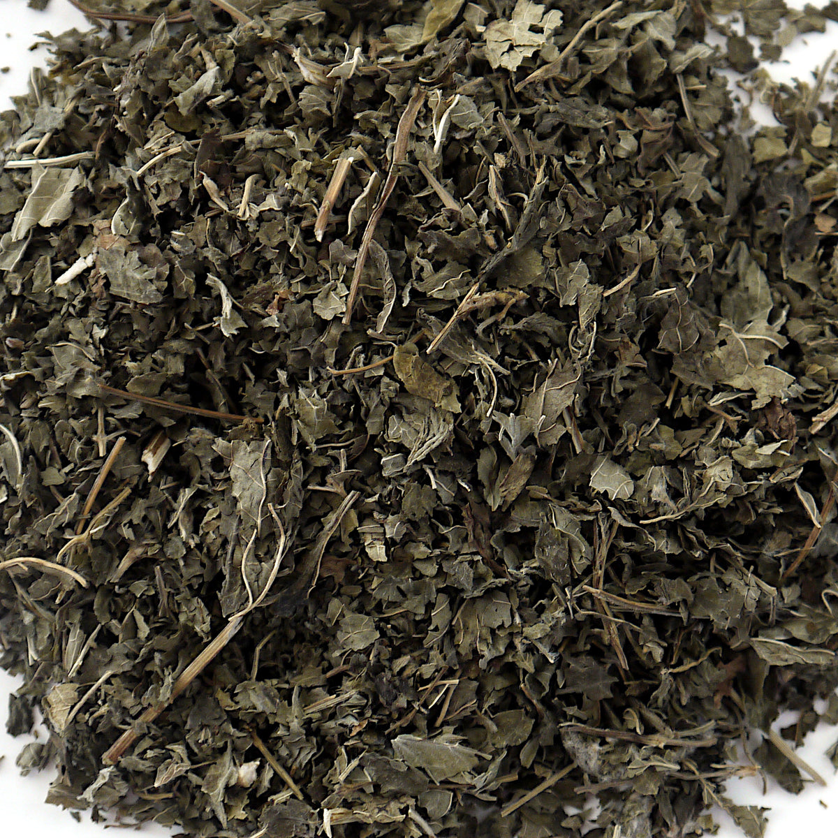 Lemon Balm – Truly Tea Shop